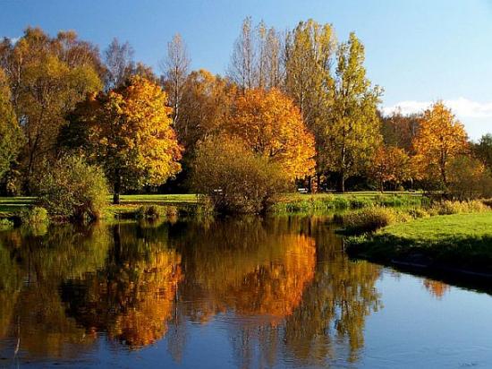 Blog firmy CENTRUM FOTOGRAFII: Jesienne fotografowanie…