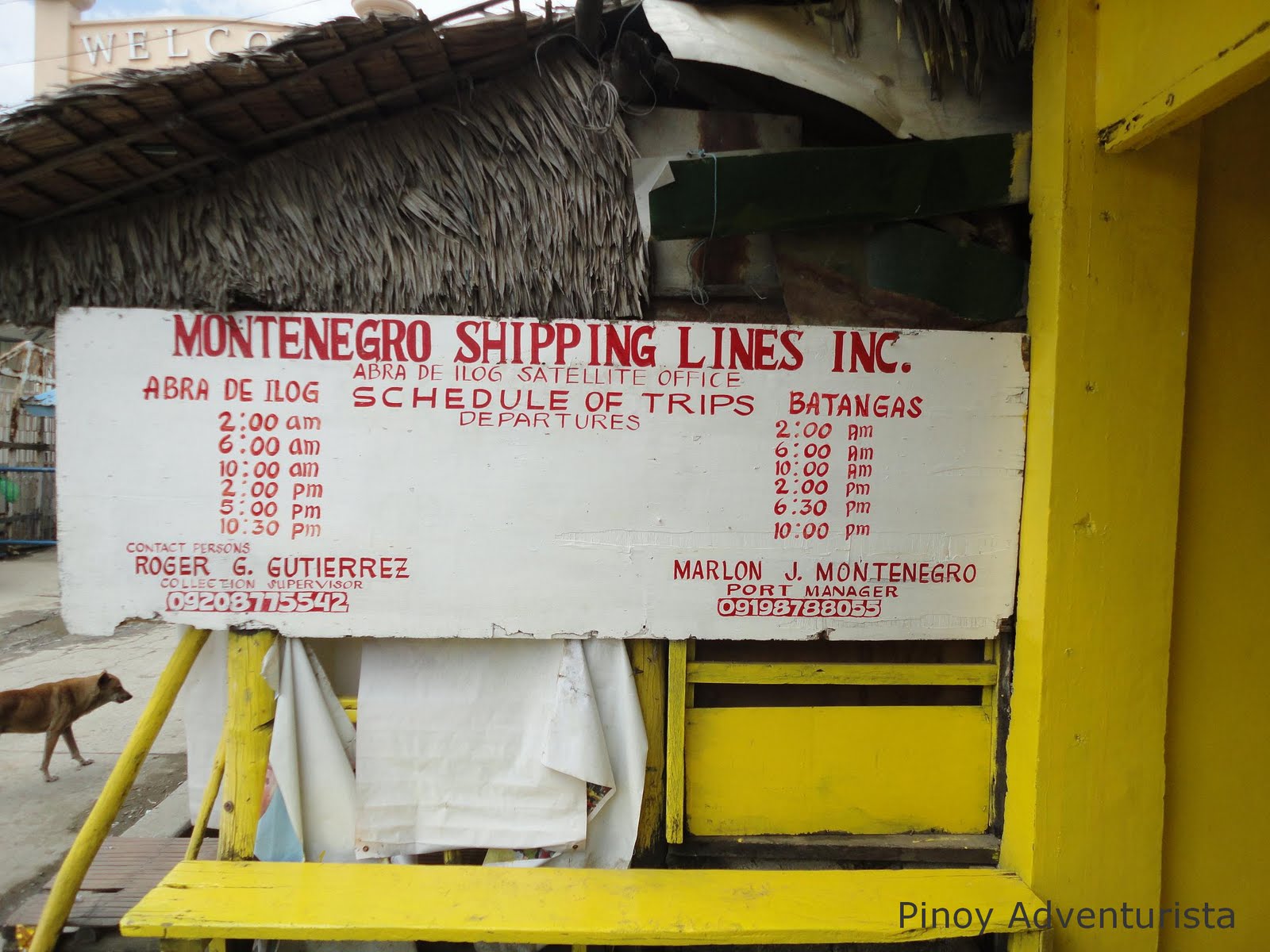 Pinoy Transpo : Montenegro Shipping Lines' MV Maria Zenaida, My First ...