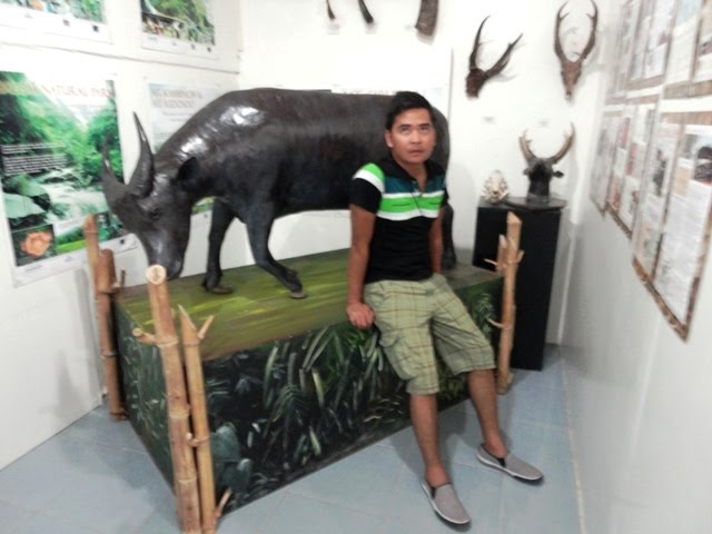 Top Thing to Do in Mindoro Occidental - Amazing Sablayan! | Blogs ...