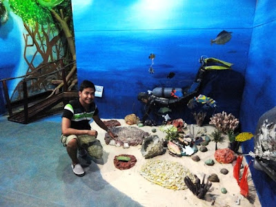 Top Thing to Do in Mindoro Occidental - Amazing Sablayan! | Blogs ...