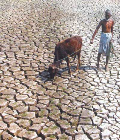 Suman Sahai Blog: Agriculture and the challenge of Climate Change