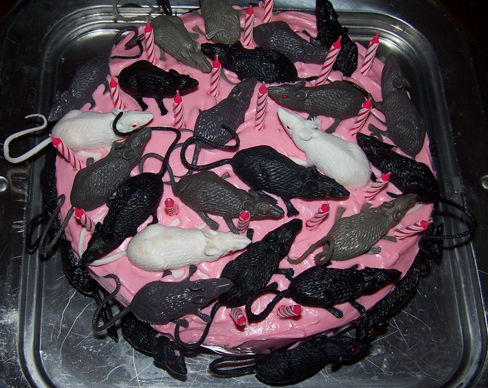 *~my house is cuter than yours~*: giving a rat's ass bday cake!