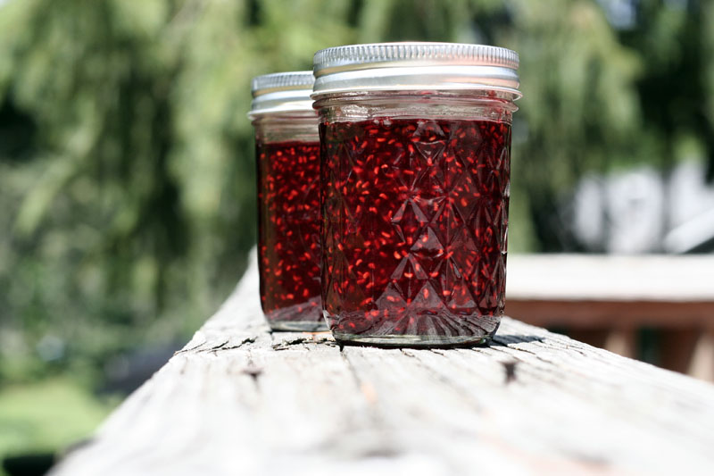 :: steph chows ::: Raspberry Agave Jam