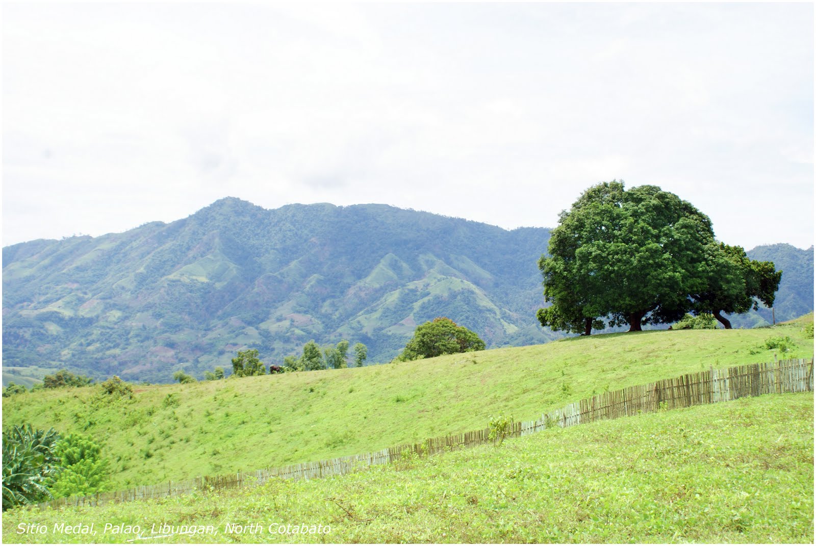 Duaw Mindanaw: Libungan, North Cotabato