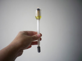 Helena Maria Pinhata Hora - Terapeuta Holística: Cone Hindu (Karna Purana)