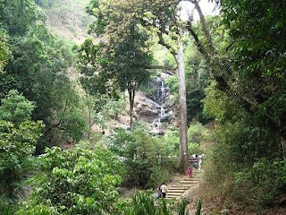 Iruppu Falls, Coorg
