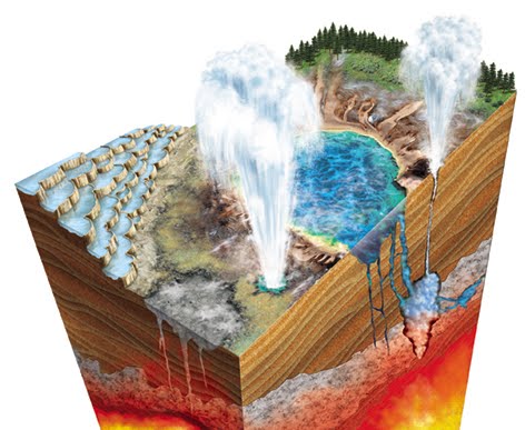 SCIENTIFIC ILLUSTRATION ESTEBAN
