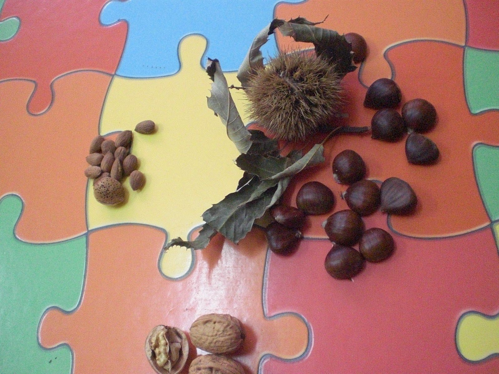 Unidad Didáctica del Otoño: "Ardillas por doquier"