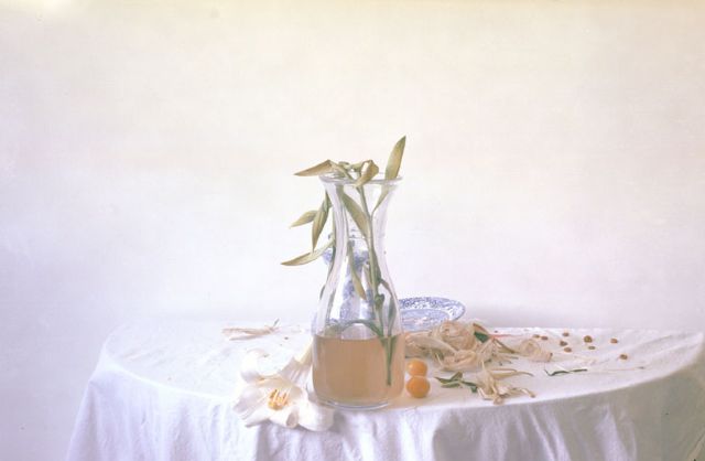 the best time of the day: laura letinsky.