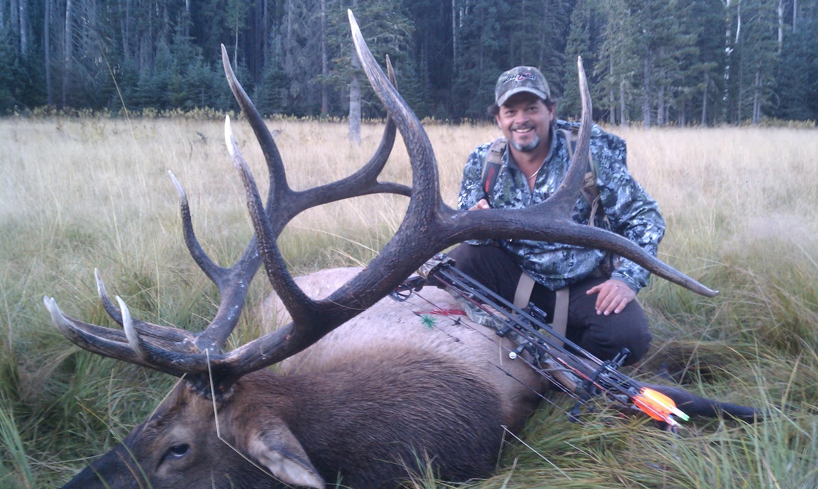 Sneek Freak TV: Dean's 360" AZ Bull