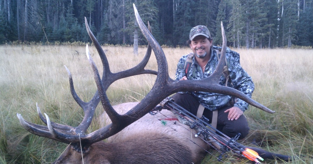 Sneek Freak TV: Dean's 360" AZ Bull