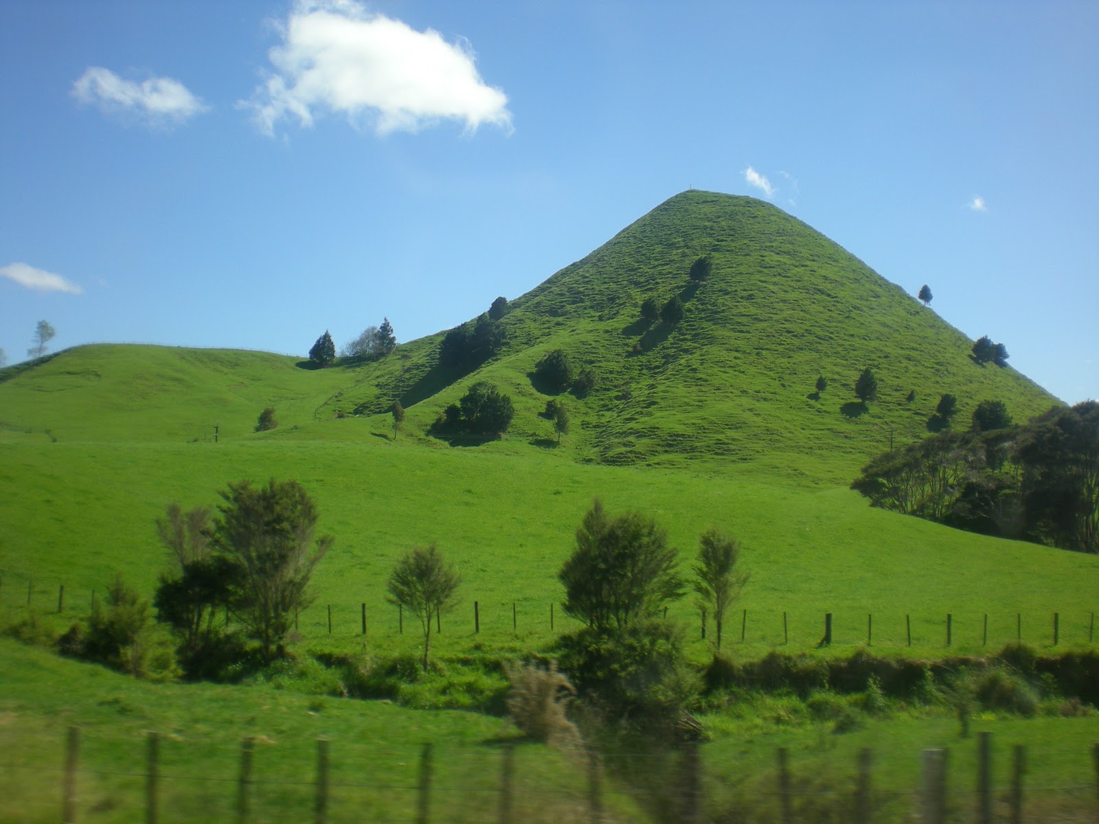 Nadine in New Zealand: Hamilton - Cambridge - Raglan: experience the ...