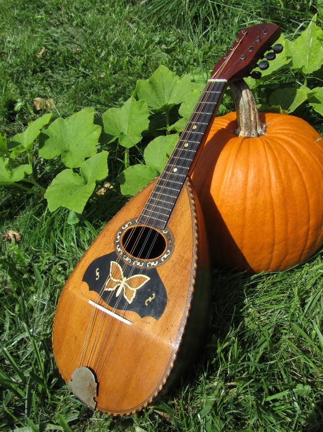 c.1910 Unmarked Butterfly Bowlback Mandolin