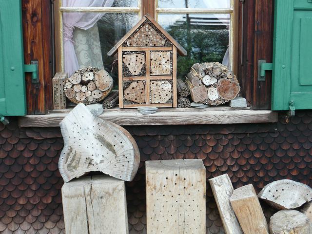 Love the Honey Bees!: native bee homes in Switzerland