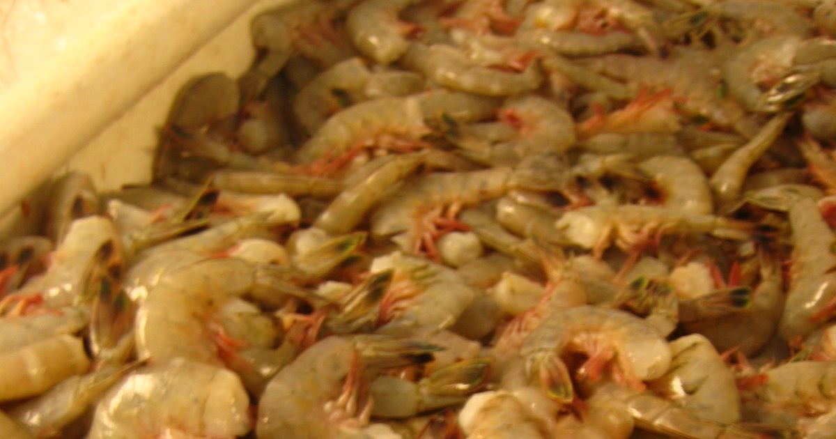 How to Tell Wild Shrimp from Farmed: Red Leggings