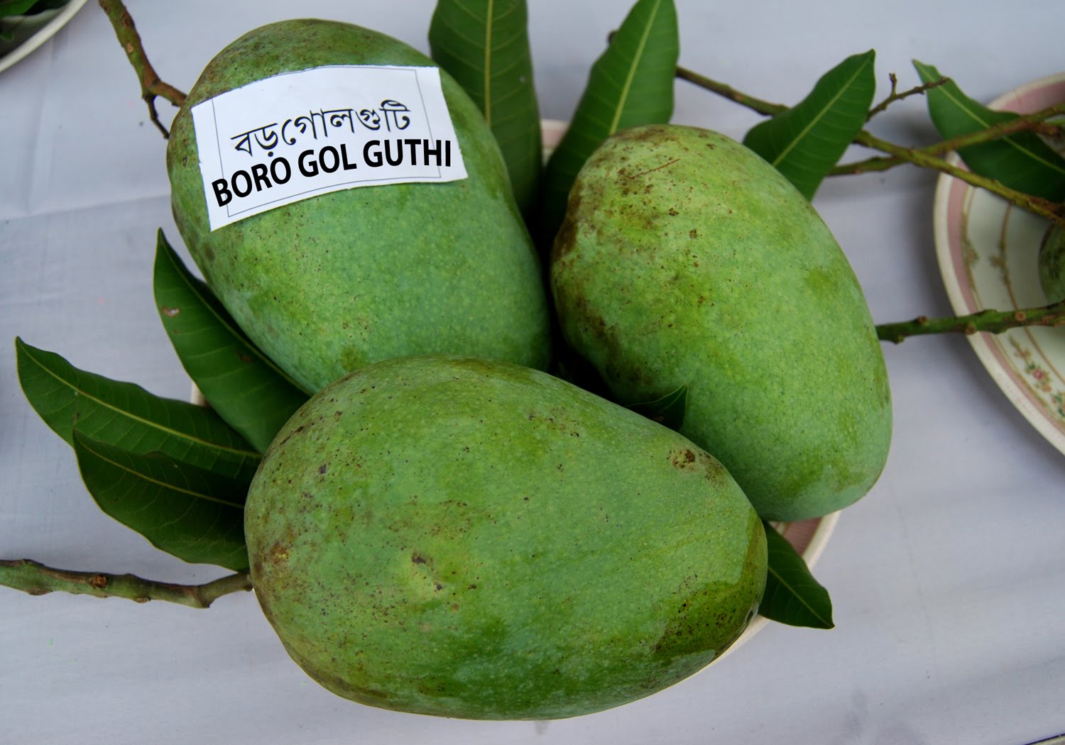 Digital Minilab Camera Review: Bangladeshi Favarite Mango