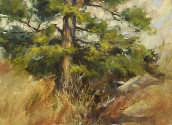 Susan Blackwood: Among the Trees