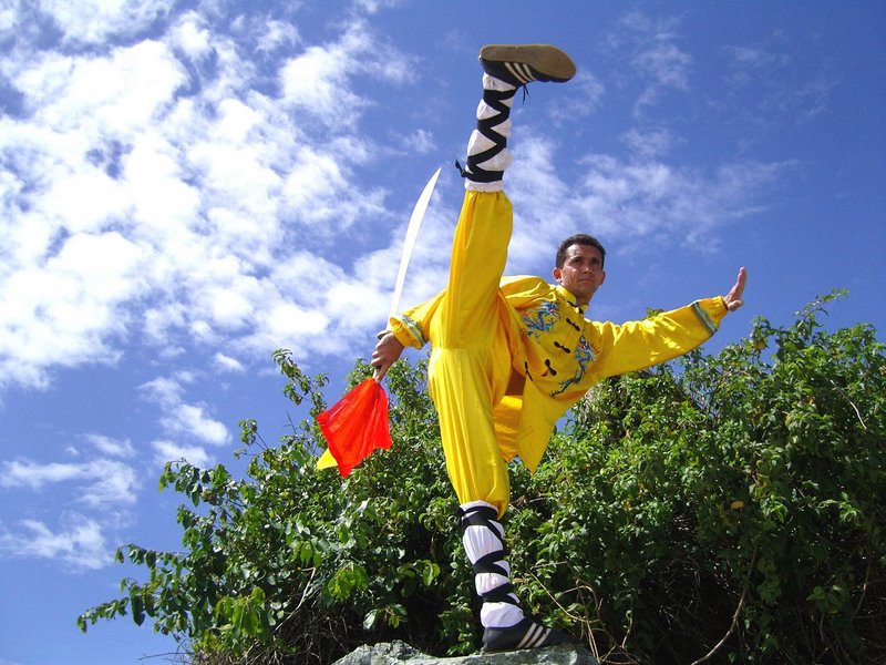 ASSOCIAÇÃO NACIONAL WING SHU CHUAN KUNG FU: MESTRE RAYLLAMM. INSTITUTO ...