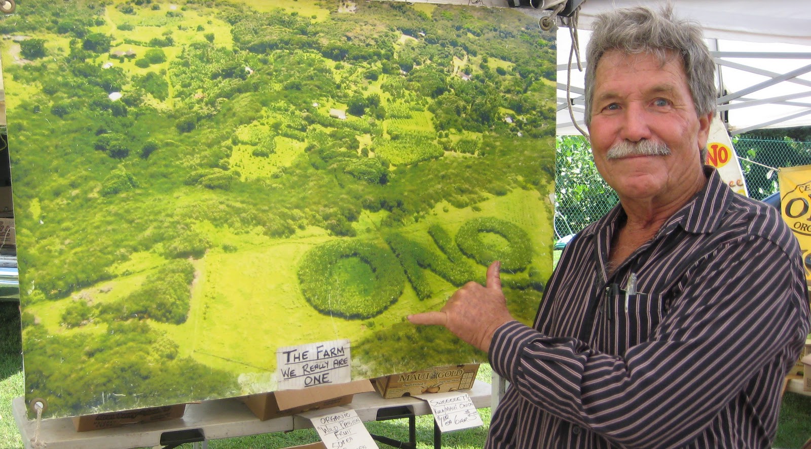 Maui Vacation Guide: Ono Organic Farms - Maui - Hawaii