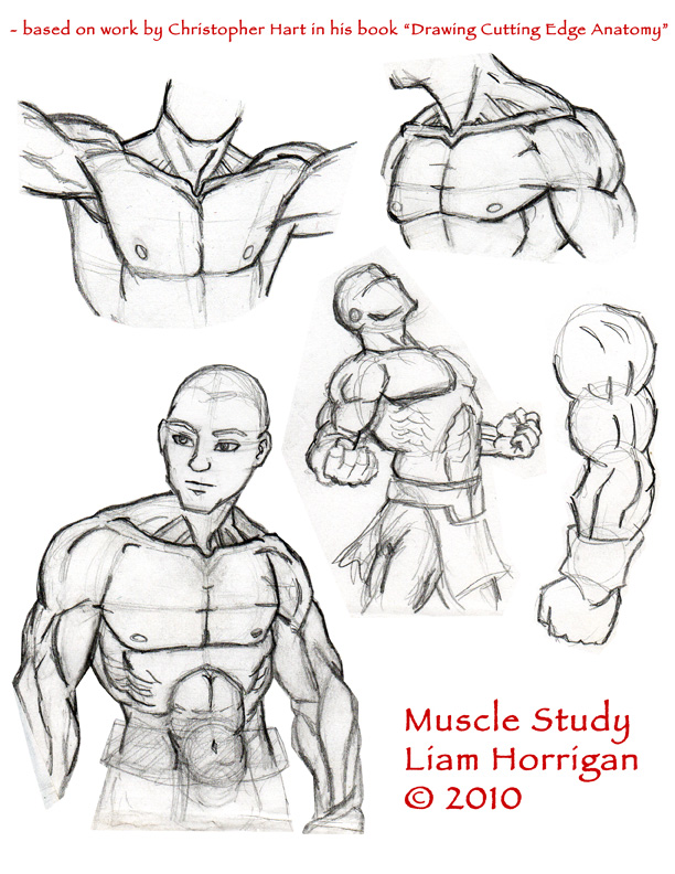 Mythological Studios: MUSCLE STUDY a la Christopher Hart