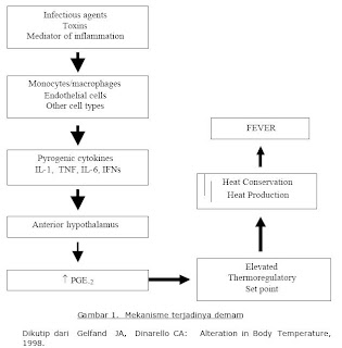 Mekanisme Demam - Abhique