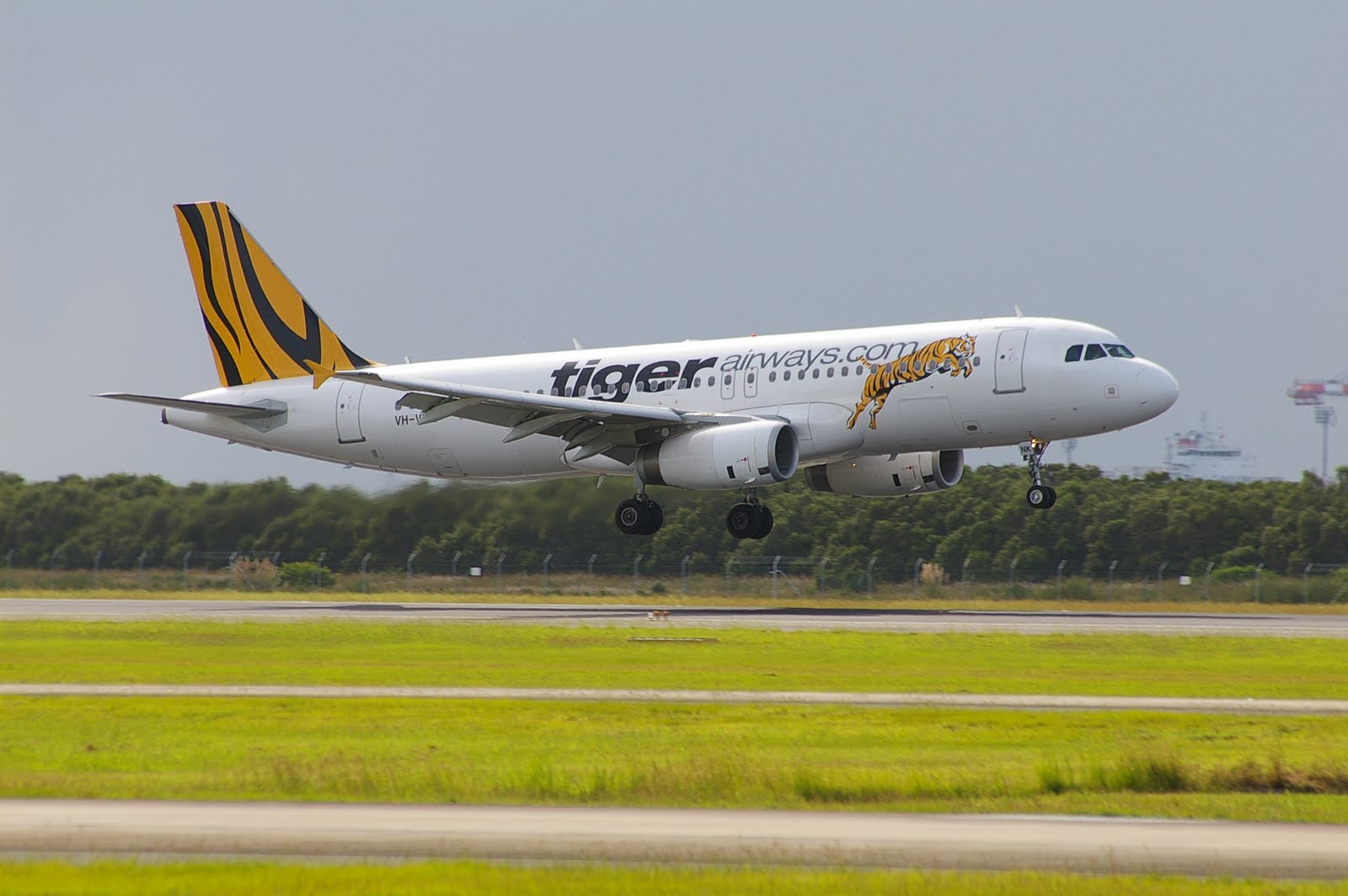 South East QLD Aviation News.: Tiger Airways starts Brisbane flights today