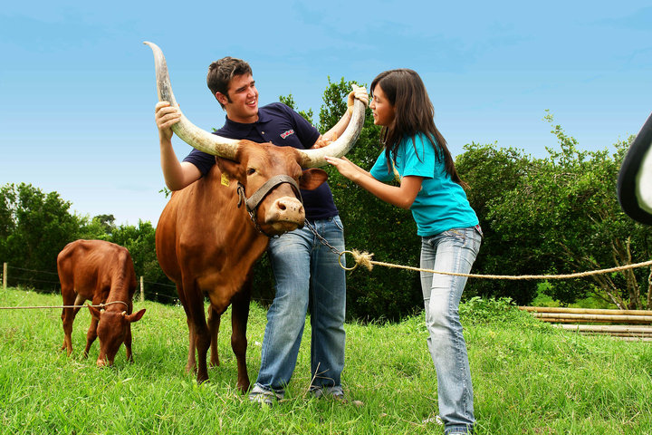 Megavacaciones Decameron: Decameron PANACA, Hotel, Centro de ...