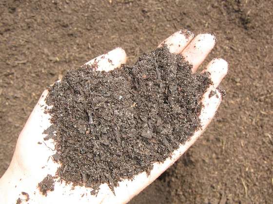 Seeduction: Organic Fertilizers Vs. Synthetic