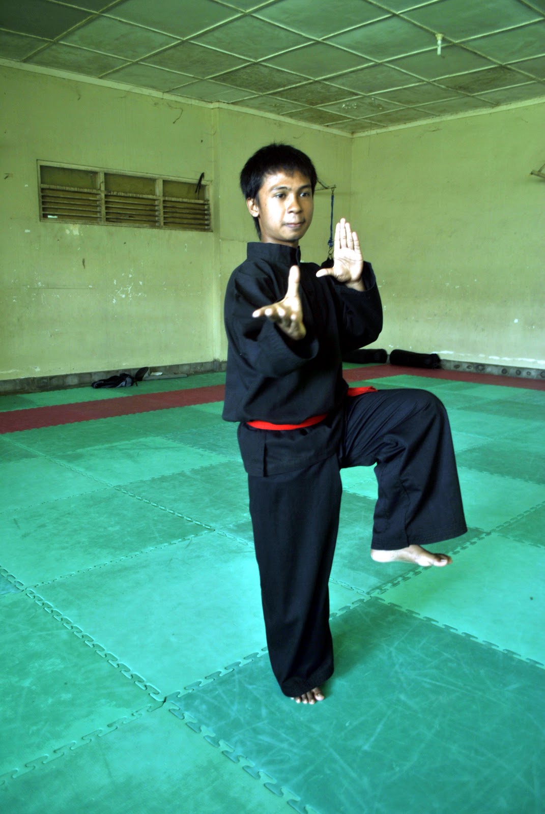 Dunia Olahraga: PENCAK SILAT