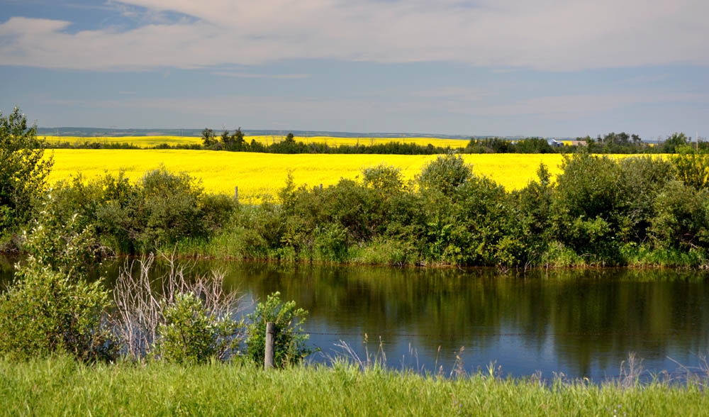 terryography: Prairie Scenes