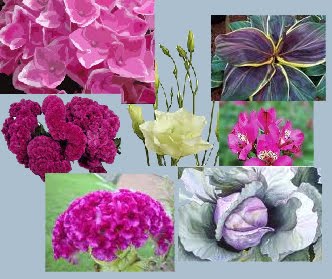 MAPLE LEAF WEDDINGS: Time, Flowers, Rob Ryan & Shopping