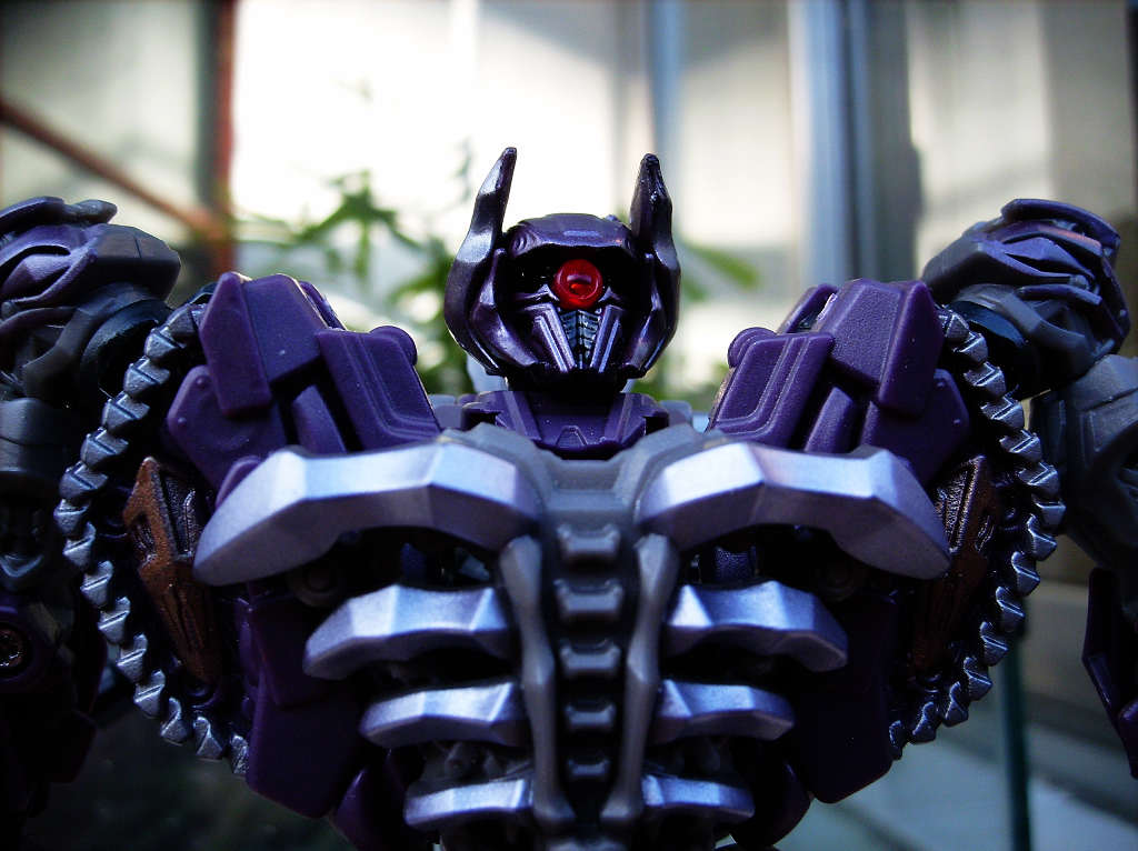 reeherrobi: transformers dark of the moon shockwave pet
