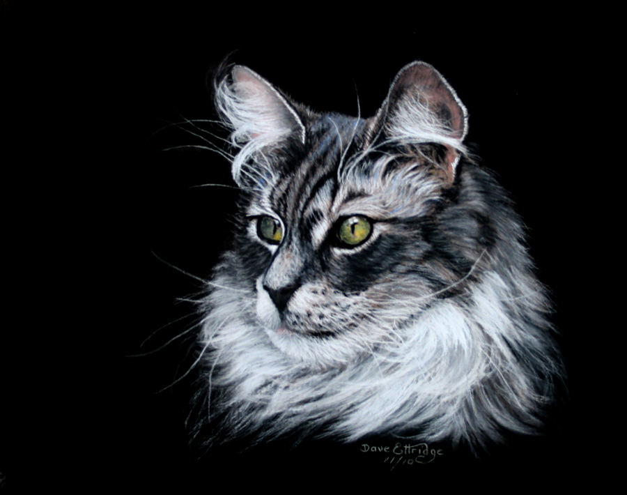 Portraits and Landscapes: Animal Portraits