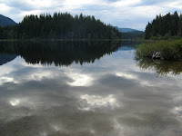 Powell River Books Blog: Nanton Lake Forest Campground