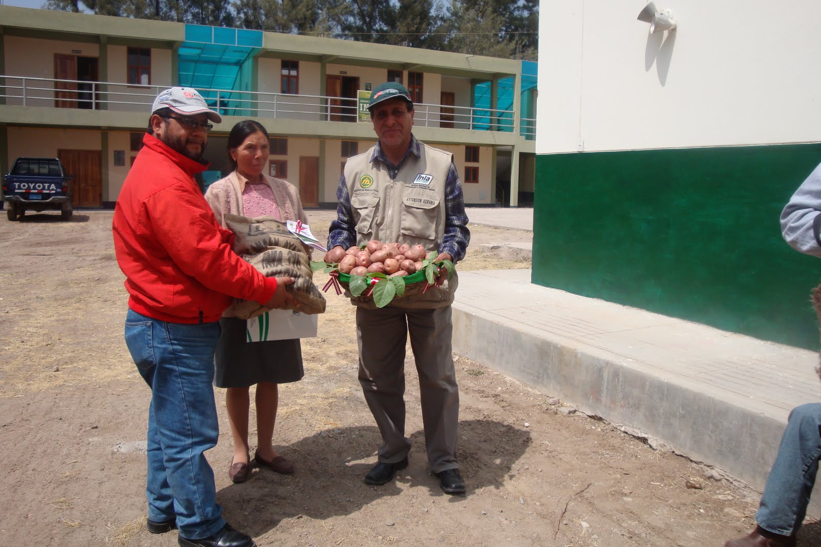 Impacto Agrario: Para el mundo: Nueva variedad de papa INIA 316 “Roja ...