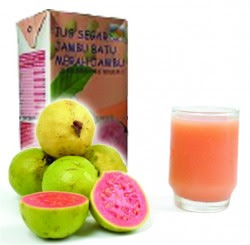 Jambu Batu: PRODUK SUNRISE PINK GUAVA