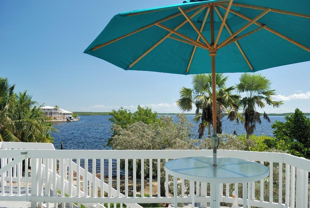 The Conchquistador Deal of The Day 11/16