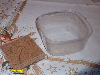 Adoro Formigas: Como construir um formigário de cortiça - How to make a ...