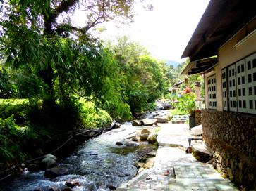 MPV LANDSKAP DAN NURSERI: LANDSKAP DI KAWASAN RUMAH PAK HABIB DI JANDA ...