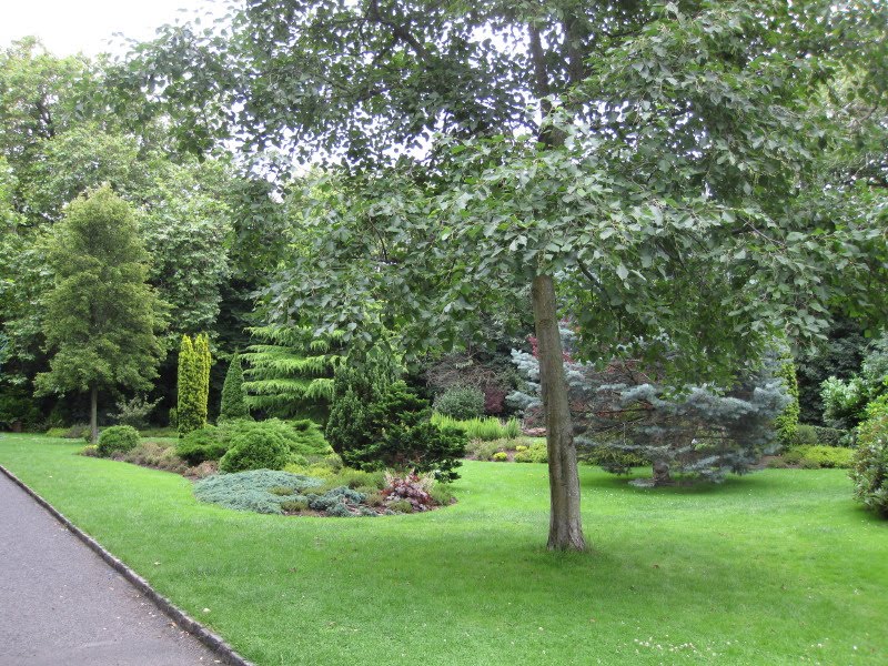 European Adventures: Trinity College