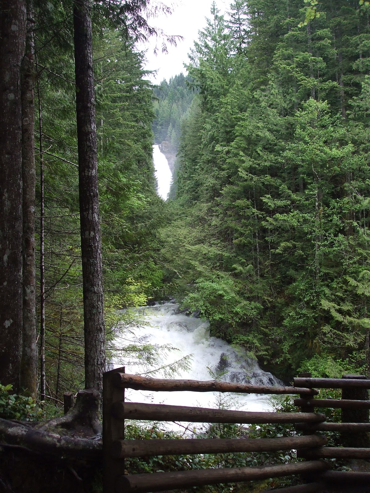 A Homeschool Mom's Hiking Blog: Western Washington hiking list ~ 2010