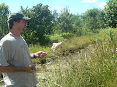 Volunteer Tree Planting Event