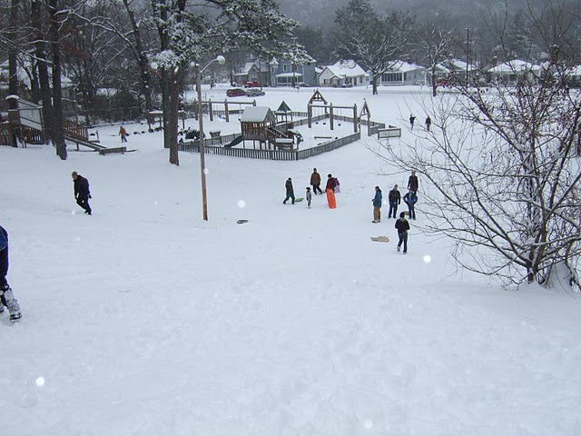 Bonnie's Books: Sledding in St. Elmo Park today