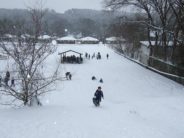 Bonnie's Books: Sledding in St. Elmo Park today
