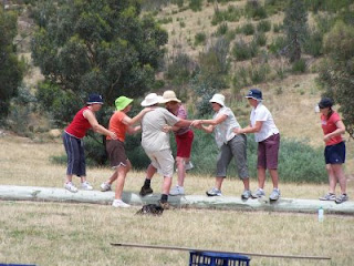 Teaching Challenges: Professional Learning Teams