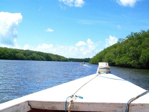 Turismo de Rio Formoso: Rio Formoso é esse paraiso!!