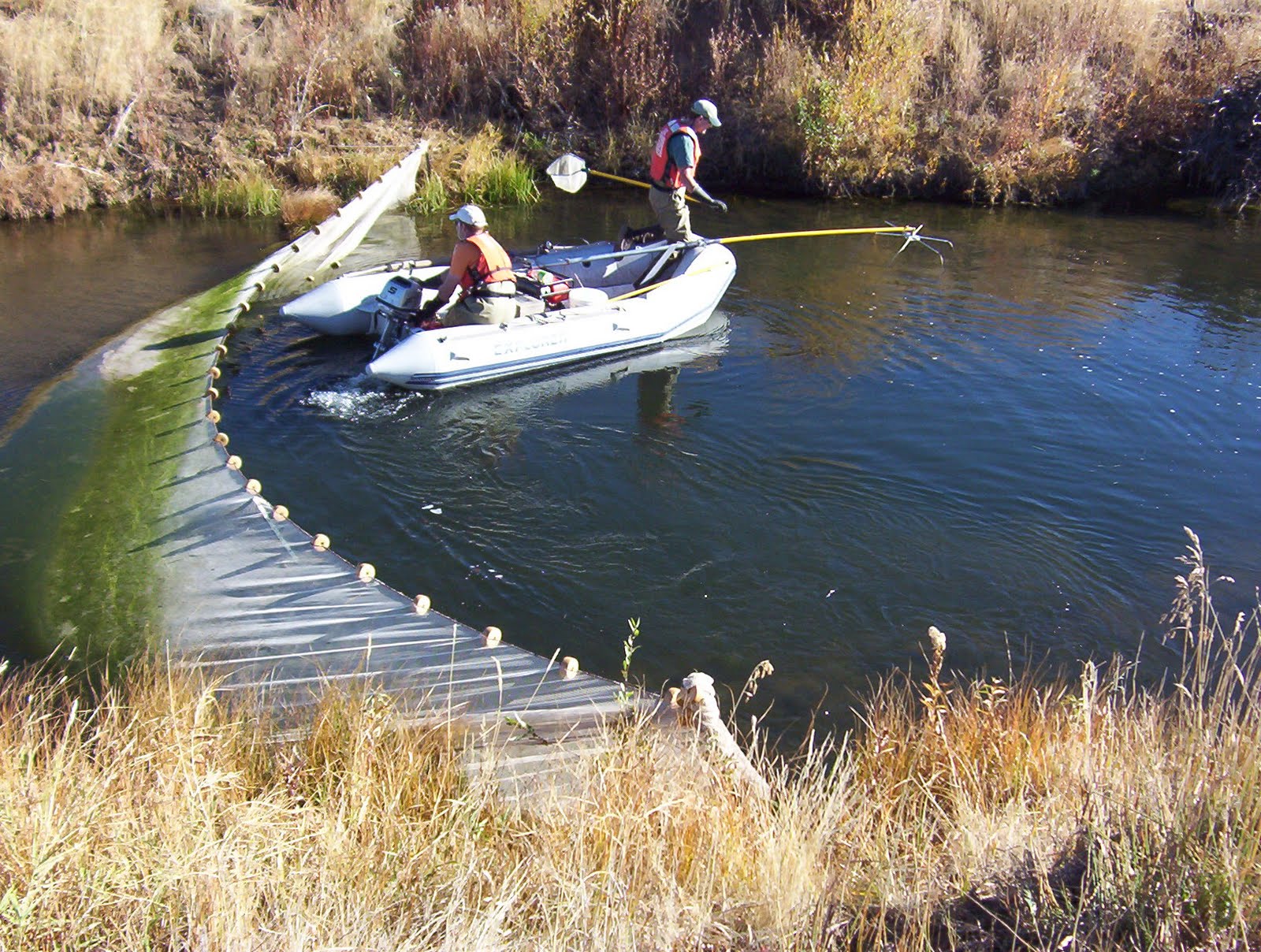 The Dish on Fish: Refuge Assistance