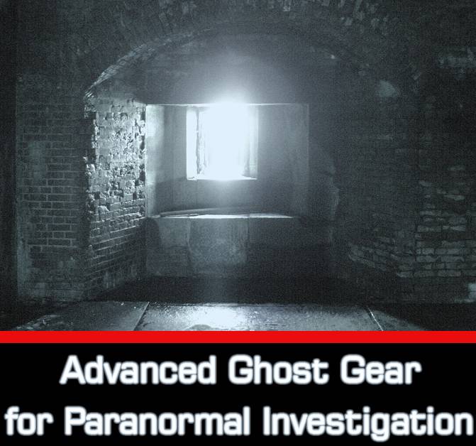 TAKING THE PULSE OF THE ZEIT-POLTER-GEIST