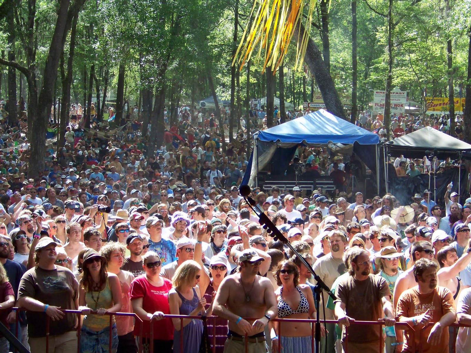 Preview: Blackwater Music Festival