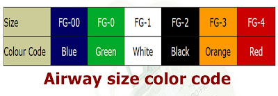 Nursing Skills Guide: Artificial Airway